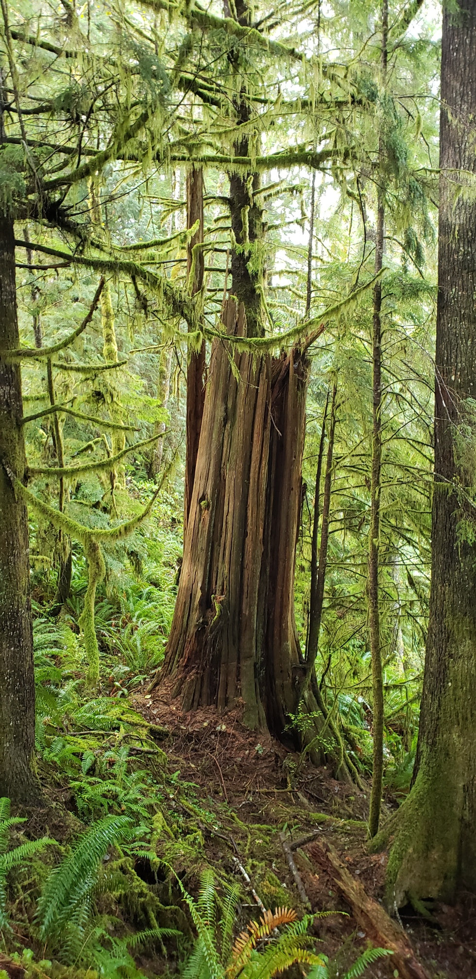 ABOUT – Ghost Bull Hunting